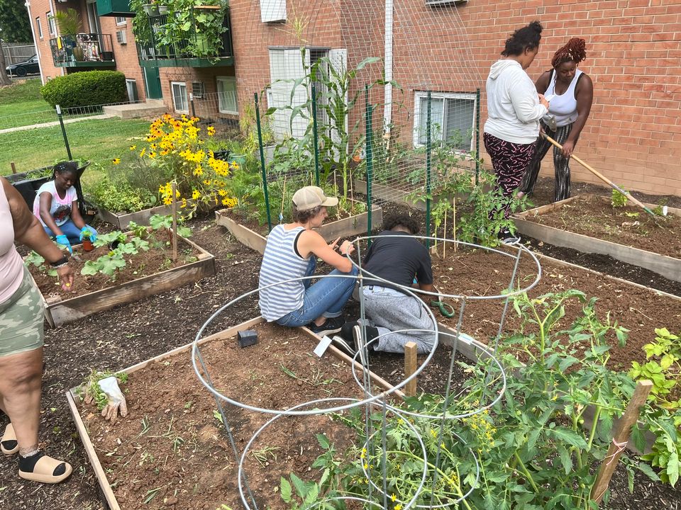 Volunteer Opportunities and More: Get Involved with BCHG - Bucks County ...